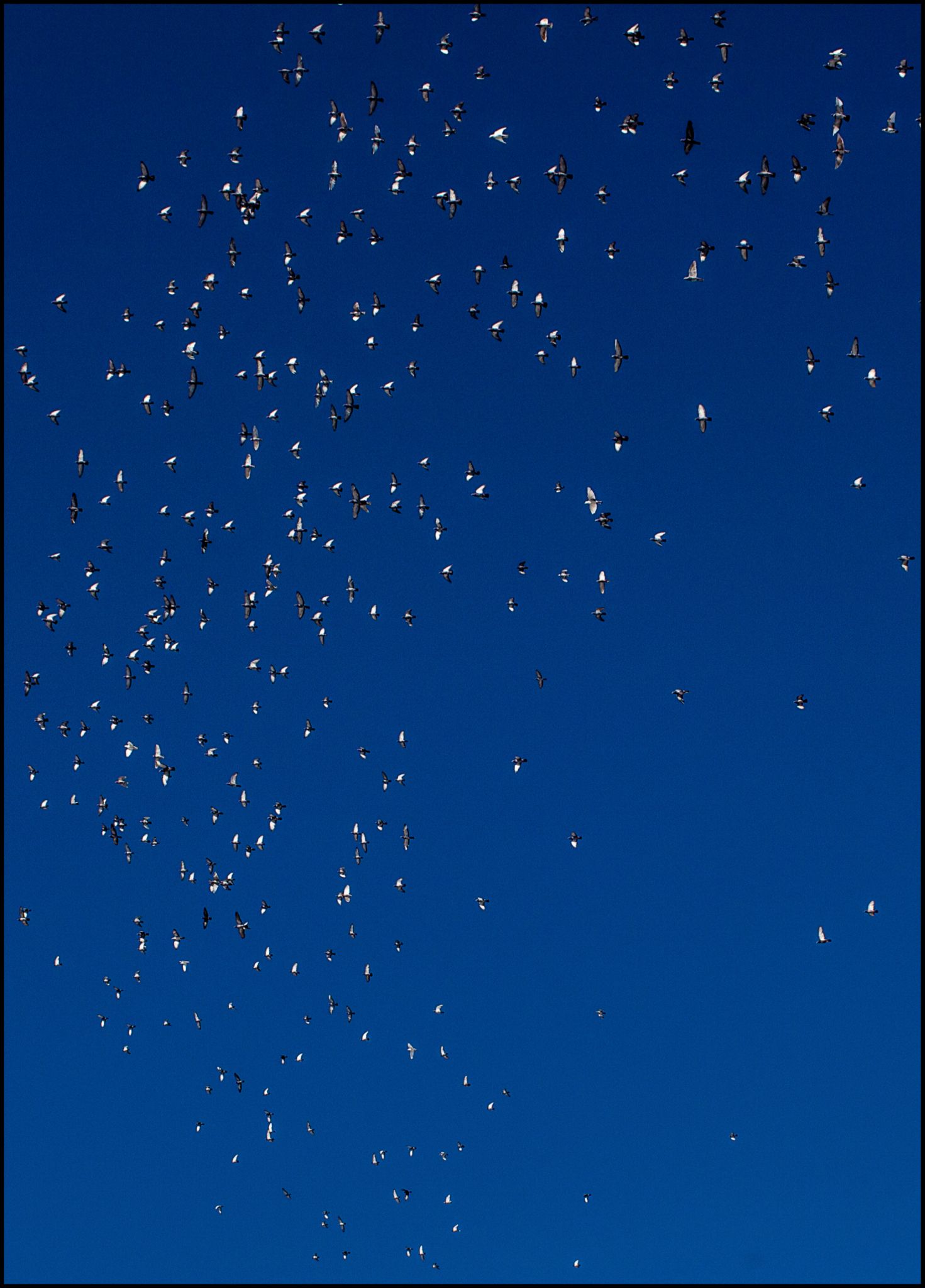 Atomic Trauma and Family Albums - 75 Years Later I Culture I Metropolis