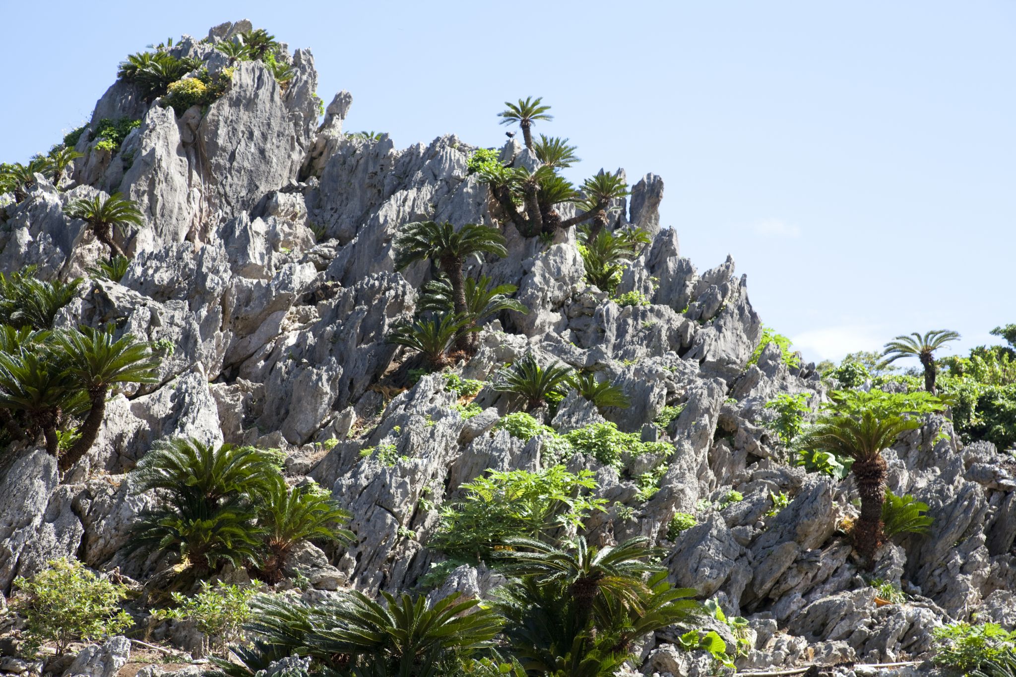 Dive into Okinawa | Travel | Metropolis Magazine Japan