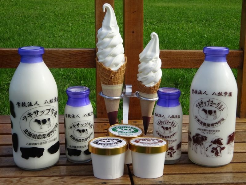 Why is Hokkaido Milk, Cream and Cheese so Popular? | Living ...