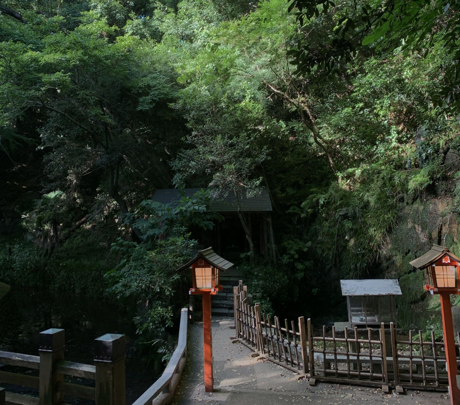 The Beginner's Guide to Forest Bathing | Travel | Metropolis Japan