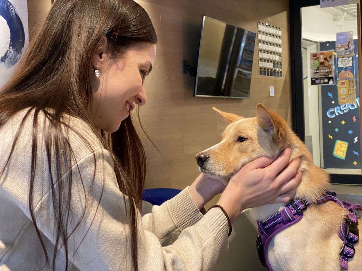 Dog Adoption & Fostering in Tokyo | Living | Metropolis Japan