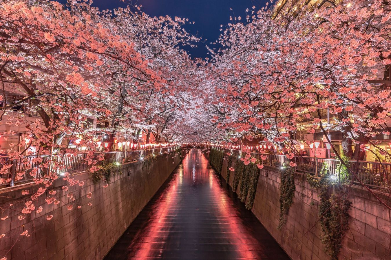 Hello Hanami 2023 | Living | Metropolis Magazine Japan
