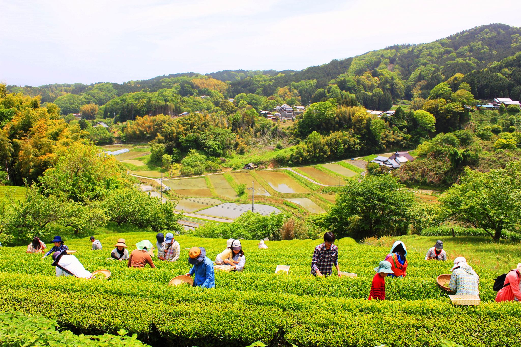 East Nara Nabari | Travel | Metropolis Japan