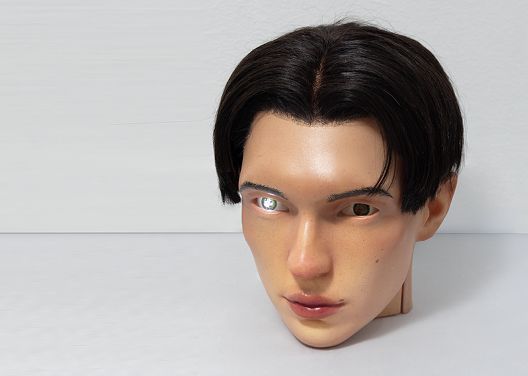 Human Product Exhibition | Event | Metropolis Japan