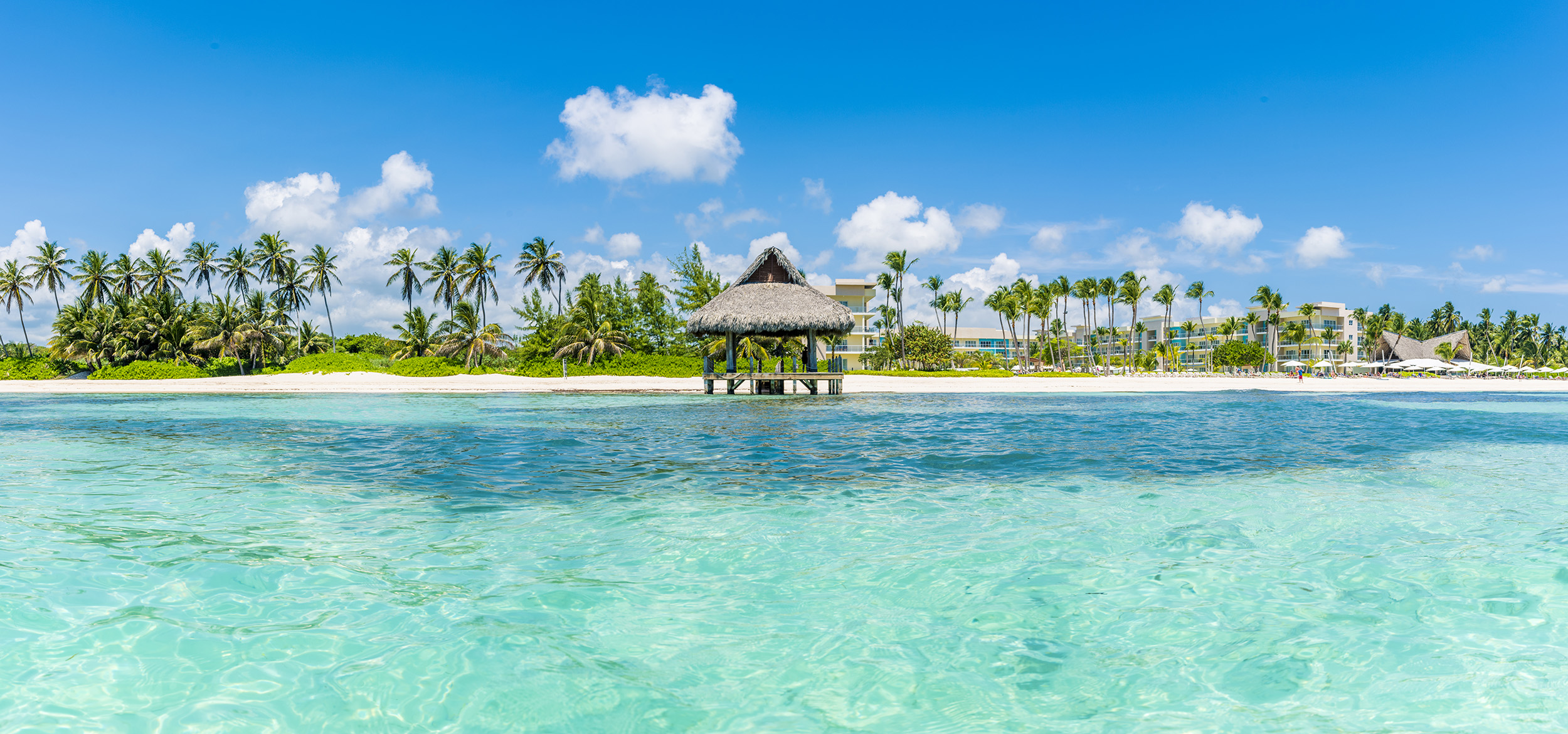 Rhythms of the Caribbean: The Dominican Party | Event | Metropolis Japan