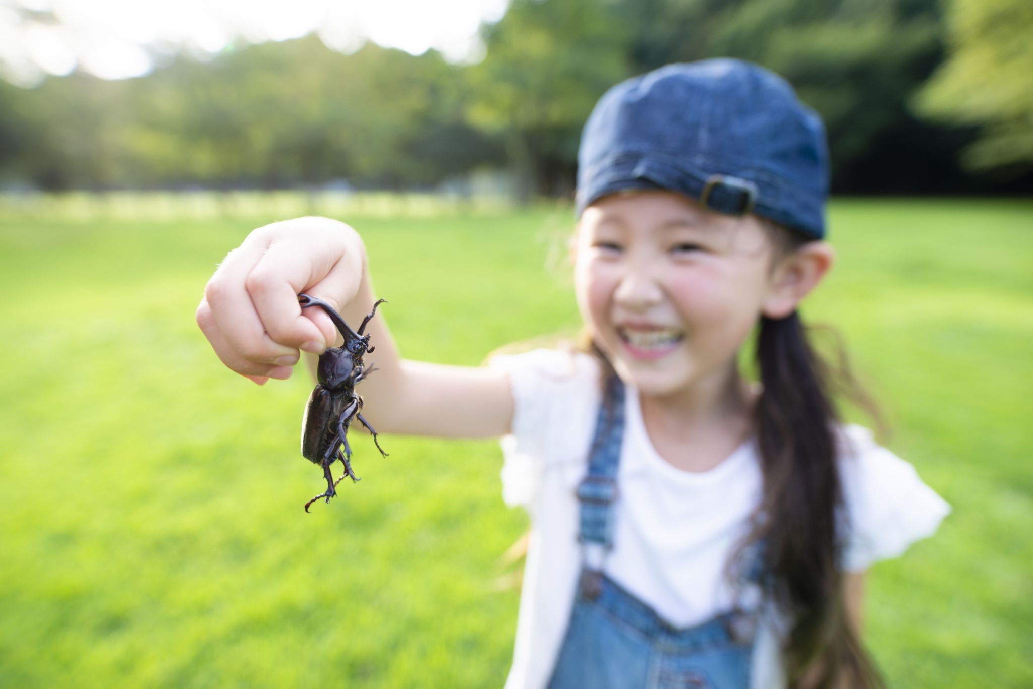 Bug Catching in Japan | Living | Metropolis Japan