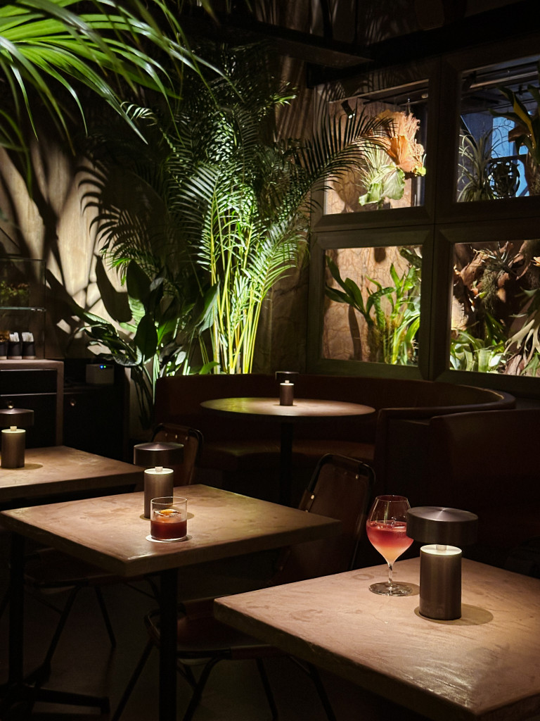 This Kyoto Bar is Filled with Ambient Music and Exotic Plants