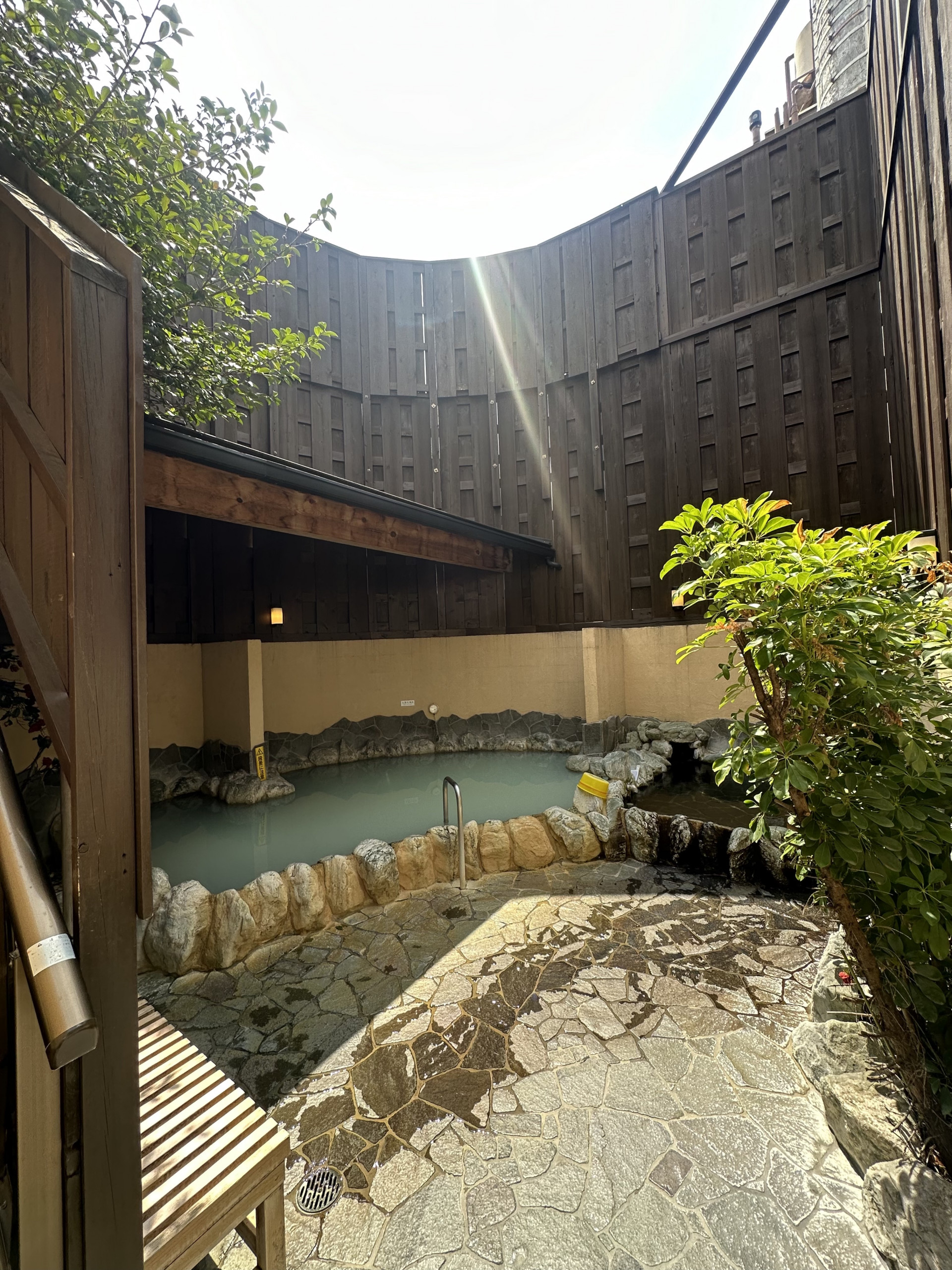 Tattoo-Friendly Sento With Saunas in Tokyo | Tokyo Guides | Metropolis ...