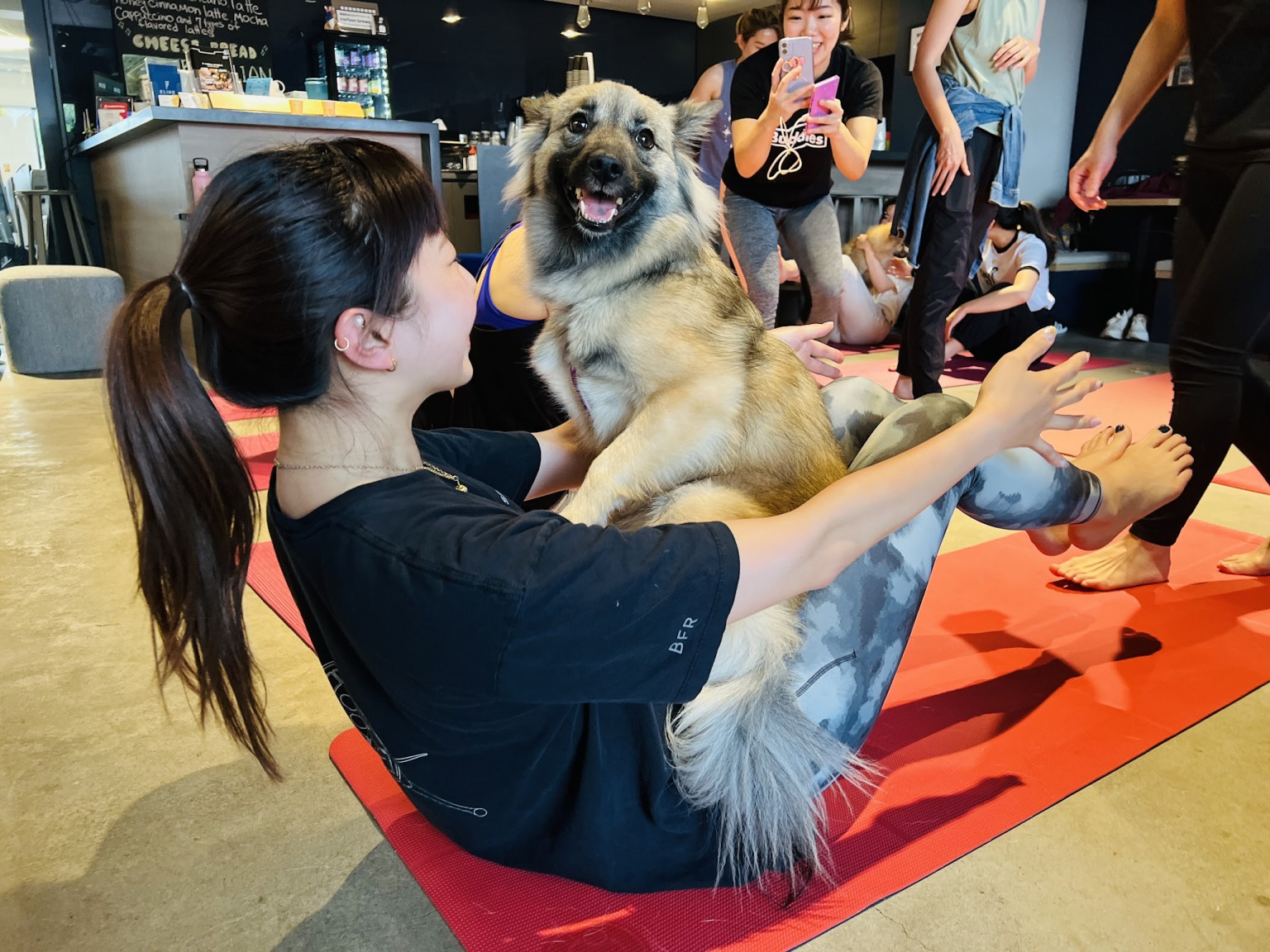 The Healing Power of Doga | Metropolis Japan