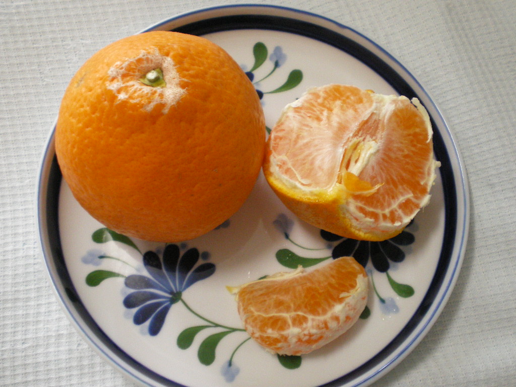 The Best Japanese Citrus Fruits to Eat | Metropolis Japan