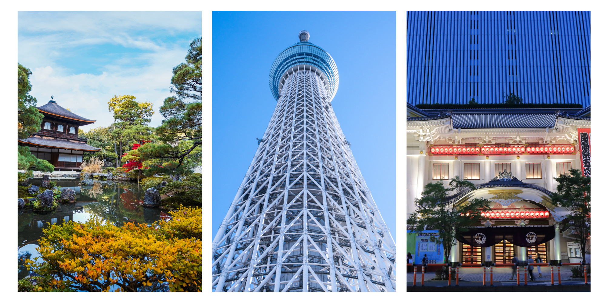 Metropolis Spring Issue 2025 | Living | Metropolis Japan