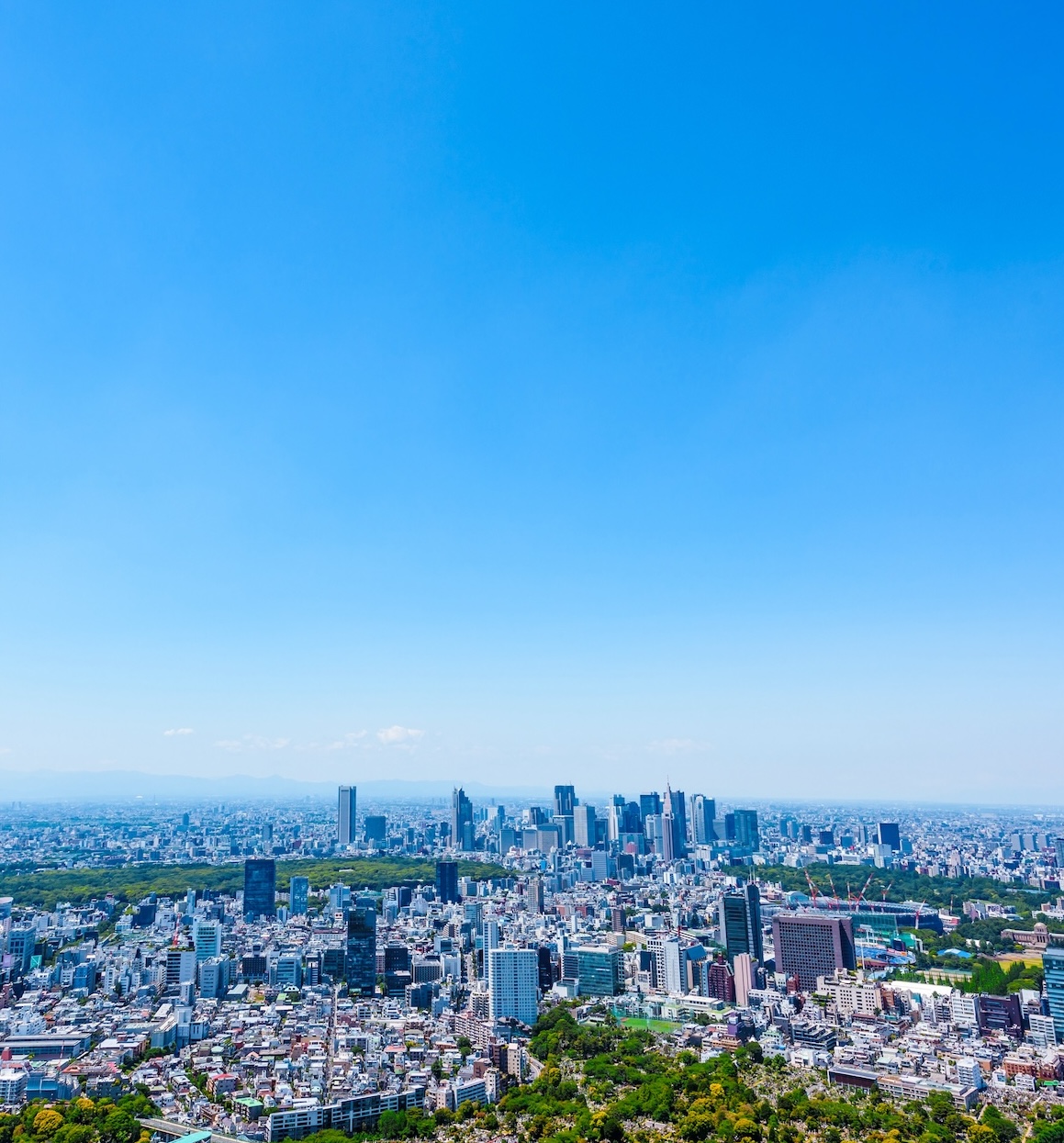 Dami Lee on the Organized Chaos That is Tokyo | Metropolis Japan