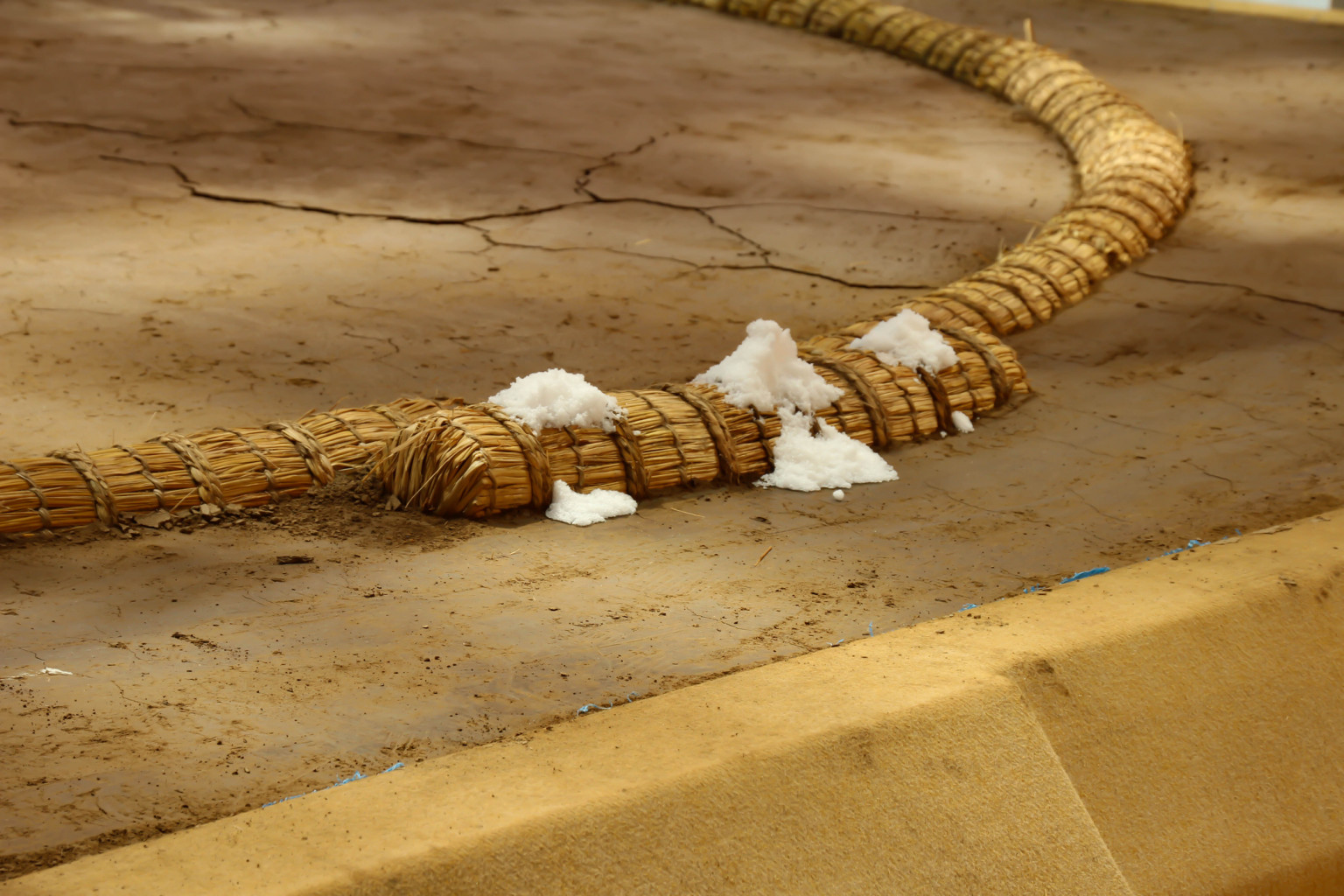 Your Essential Sumo Wrestling Vocabulary Guide | Metropolis Japan