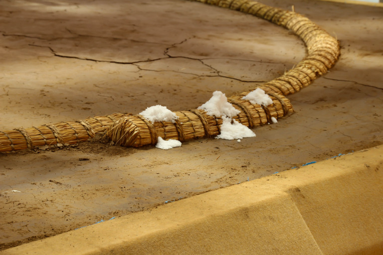Your Essential Sumo Wrestling Vocabulary Guide | Metropolis Japan