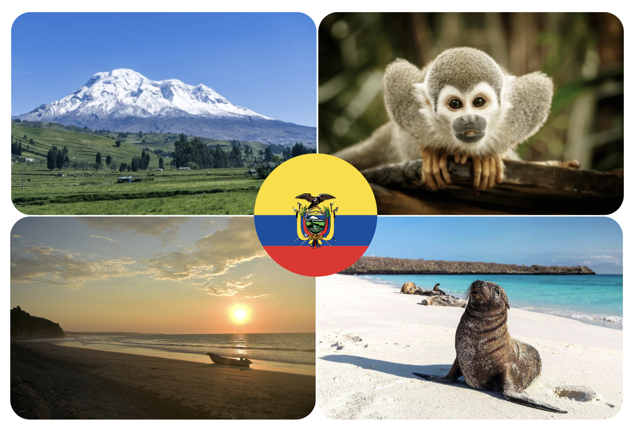 The First Ecuador Cultural Festival: “The Country of the Four Worlds ...