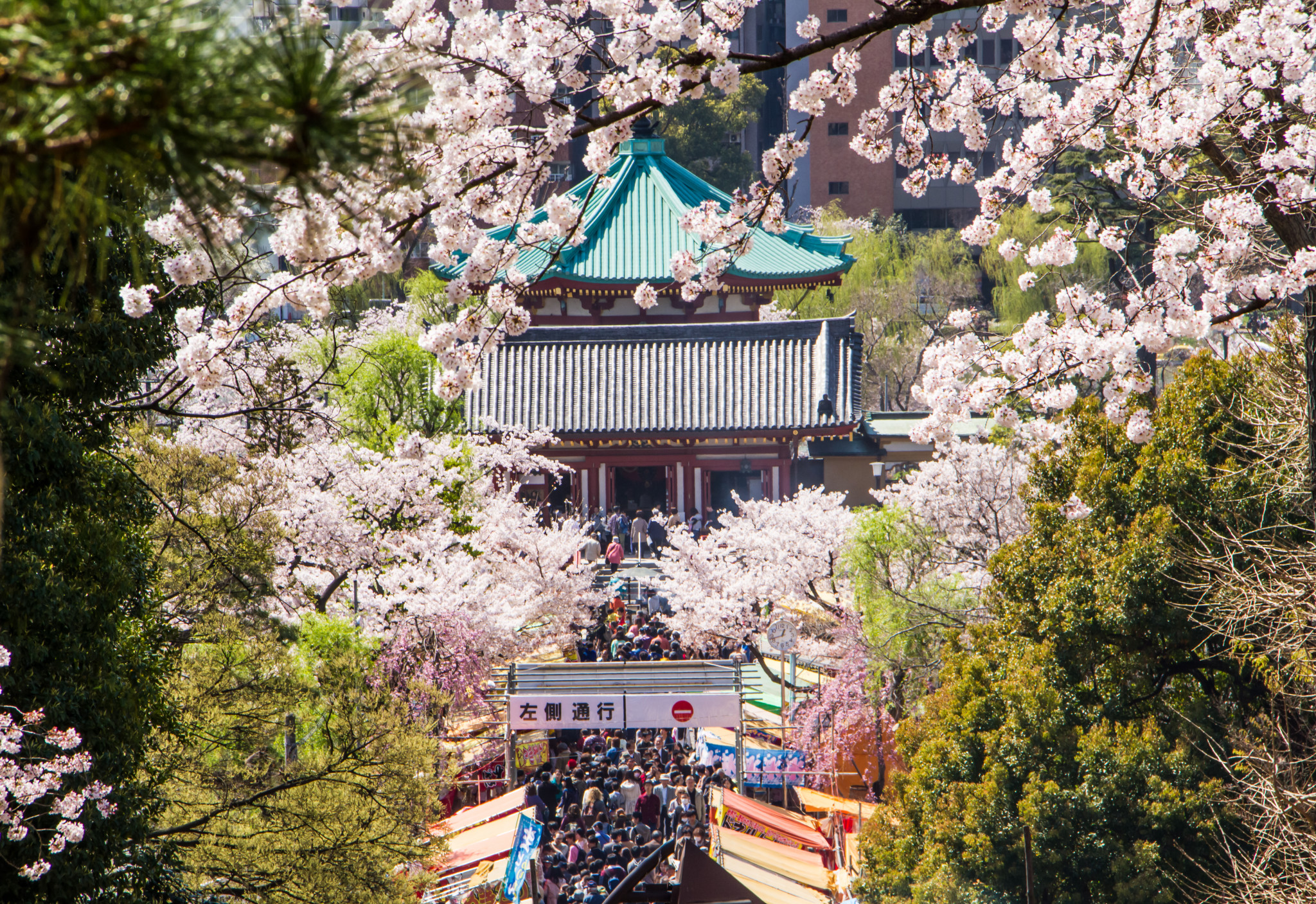 Japanese Color Theory: How Japan Sees Color Differently | Metropolis Japan