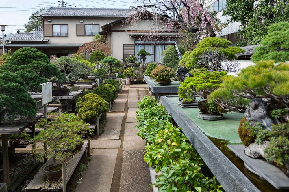 Tokyo Day Trip: Discovering Omiya, Saitama | Metropolis Japan