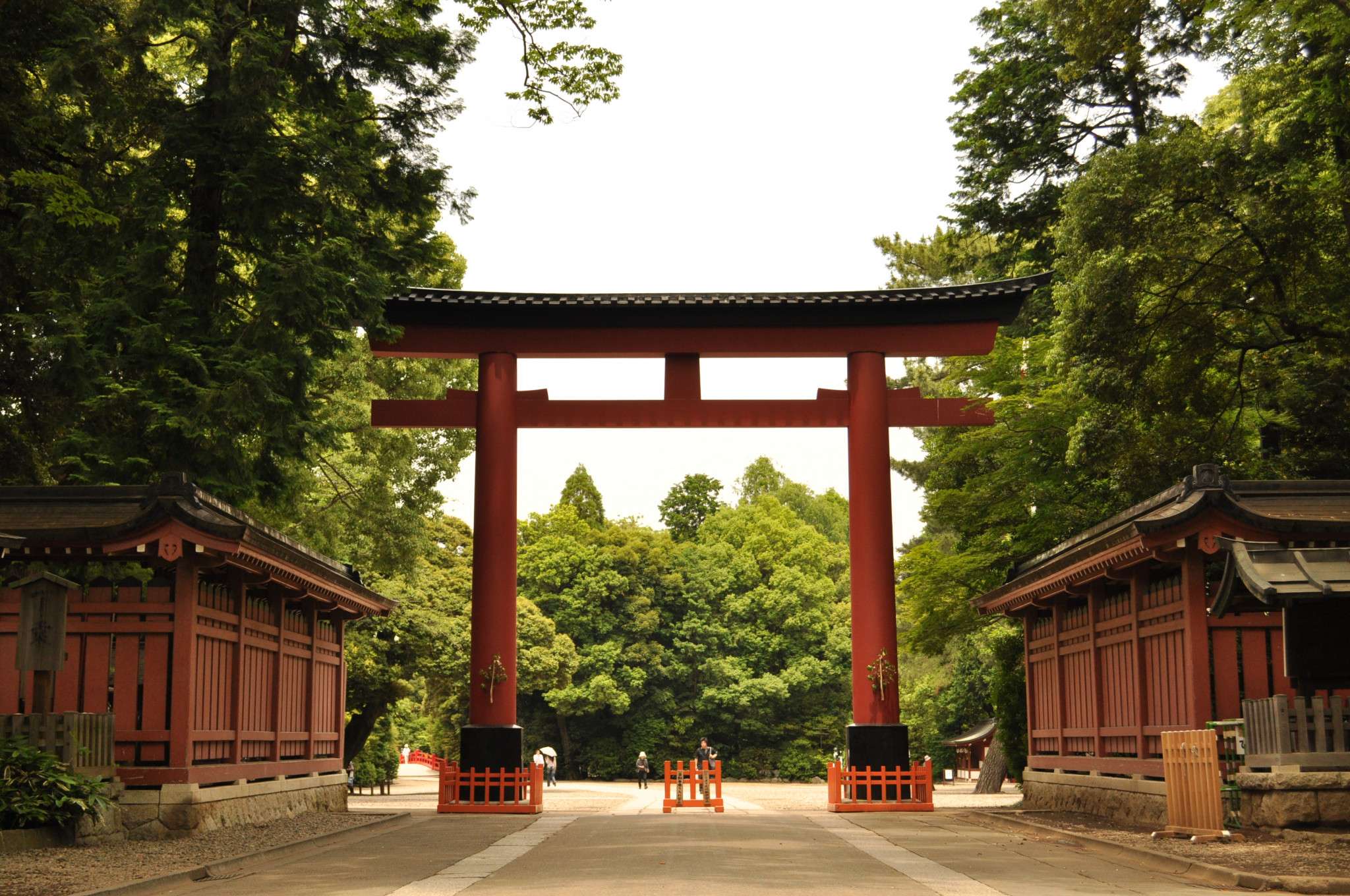 Tokyo Day Trip: Discovering Omiya, Saitama | Metropolis Japan