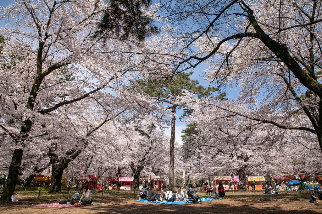 Tokyo Day Trip: Discovering Omiya, Saitama | Metropolis Japan