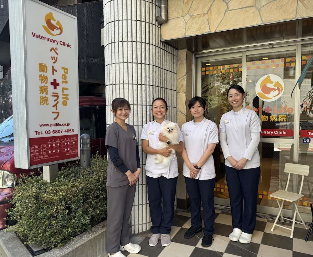 English-Speaking Vet in Tokyo PetLife | Living | Metropolis
