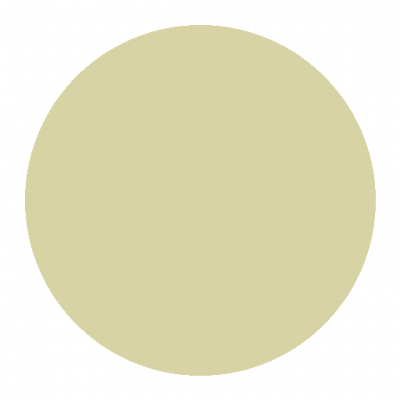 Traditional Japanese Tea Guide: Beyond Matcha | Metropolis Japan