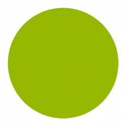 Traditional Japanese Tea Guide: Beyond Matcha | Metropolis Japan