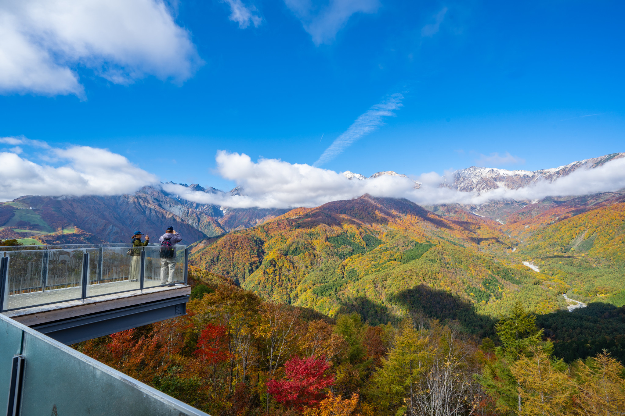 Autumn Colors at Hakuba Iwatake Mountain Resort | Metropolis Japan