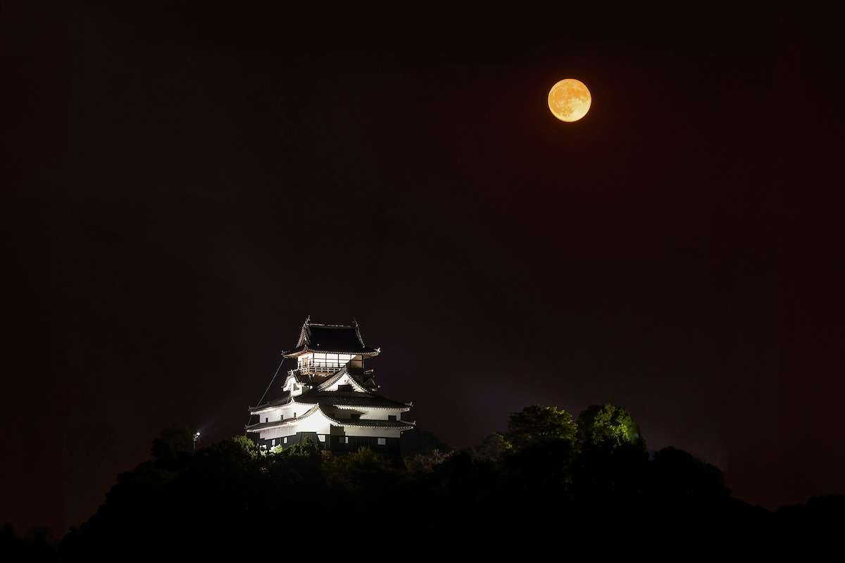 Tsukimi: Japan’s “Forgotten” Moon Celebration | Metropolis Japan