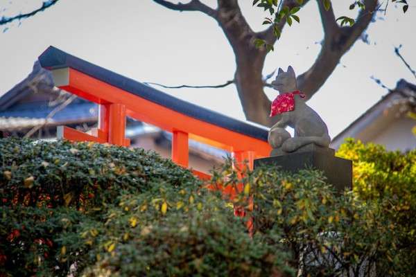 Tokyo Neighborhood Guide: Nezu | Metropolis Japan